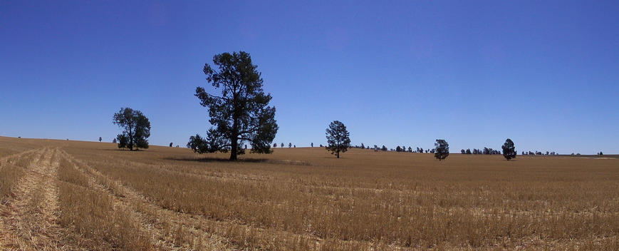 DCP: 34 degrees south, 147 degrees east (visit #1) - All Pictures