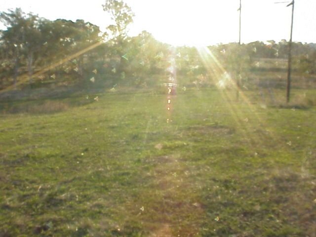 DCP: 36 degrees south, 147 degrees east (visit #2) - All Pictures