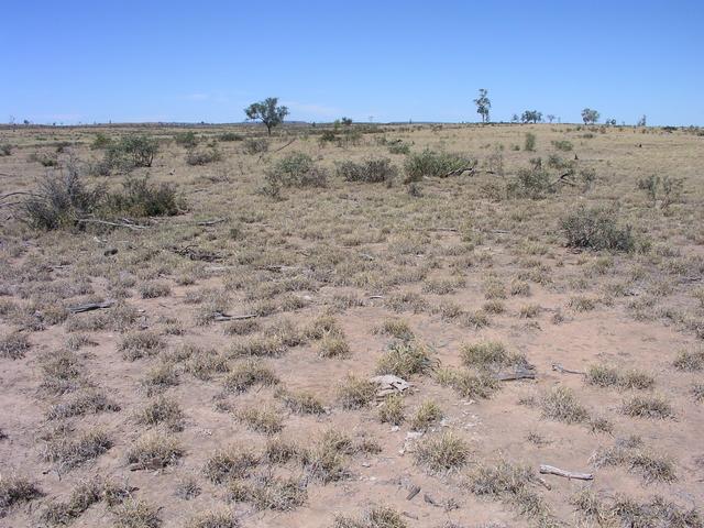 DCP: 24 degrees south, 147 degrees east (visit #1) - All Pictures