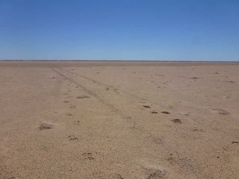 DCP: 25 degrees south, 140 degrees east (visit #1) - Picture #2