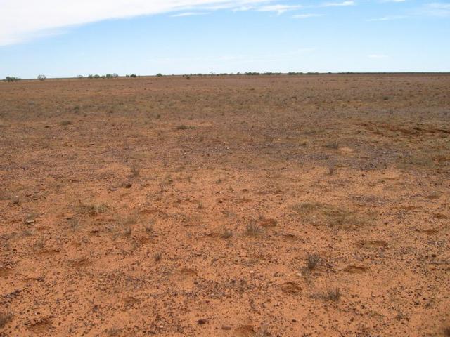 DCP: 28 degrees south, 143 degrees east (visit #1) - All Pictures