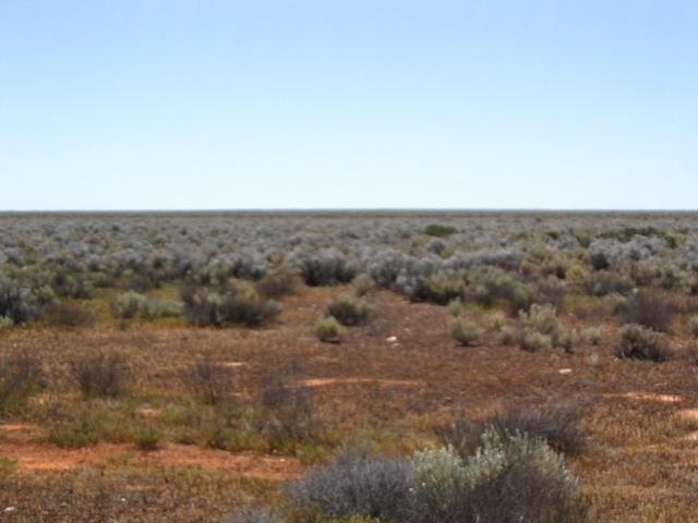 DCP: 31 degrees south, 130 degrees east (visit #1) - All Pictures
