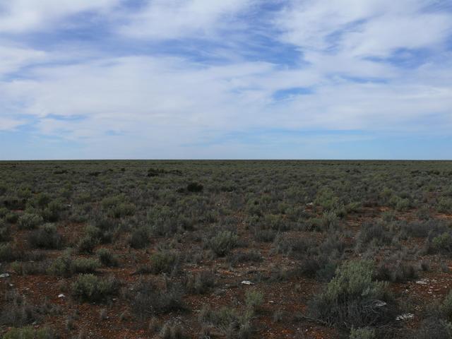 DCP: 31 degrees south, 131 degrees east (visit #1) - All Pictures