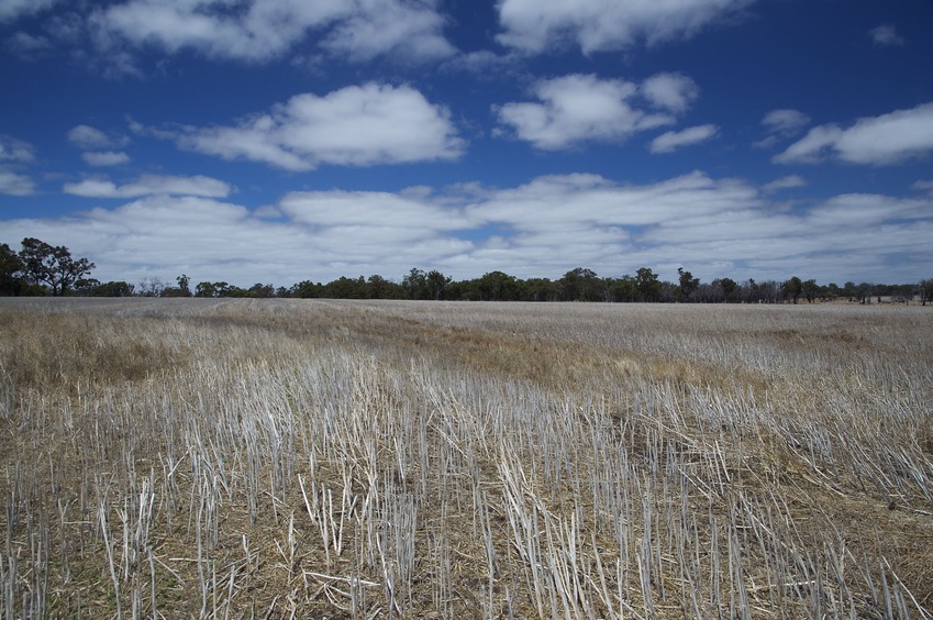 DCP: 34 degrees south, 117 degrees east (visit #2) - All Pictures