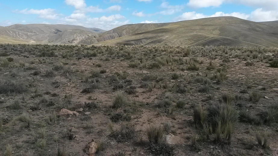 DCP: 17 degrees south, 68 degrees west (visit #2) - All Pictures