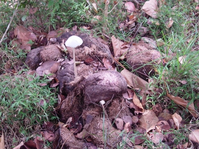 DCP: 8 degrees north, 80 degrees east (visit #1) - All Pictures