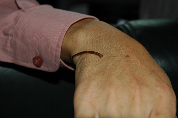 DCP: 19 degrees north, 110 degrees east (visit #2) - All Pictures