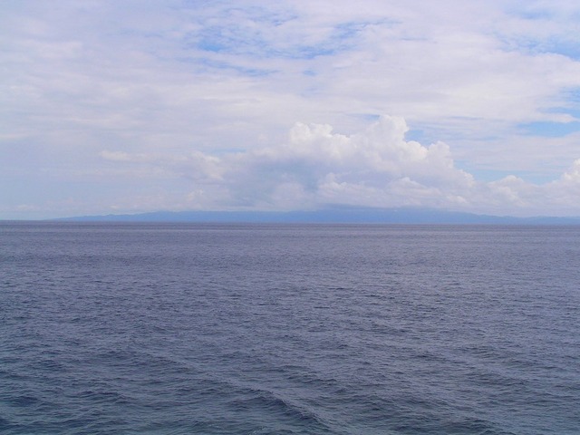 DCP: 8 degrees north, 83 degrees west (visit #1) - All Pictures