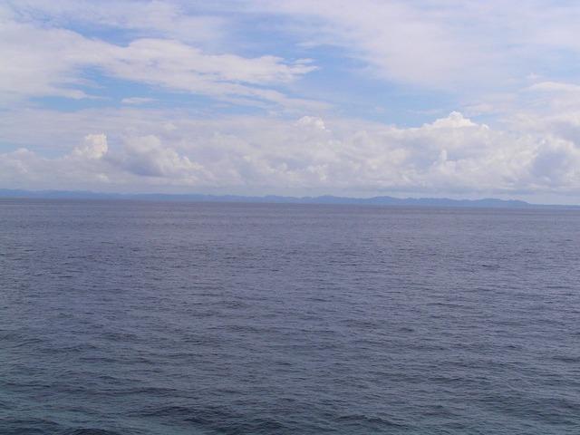 DCP: 8 degrees north, 83 degrees west (visit #1) - All Pictures