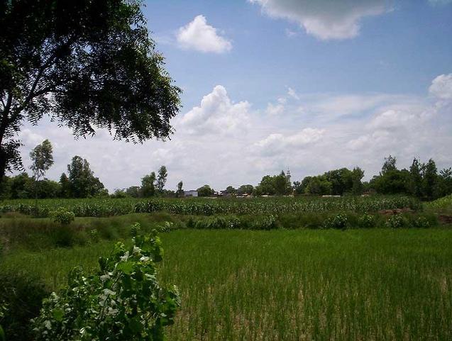 DCP: 29 degrees north, 78 degrees east (visit #1) - All Pictures