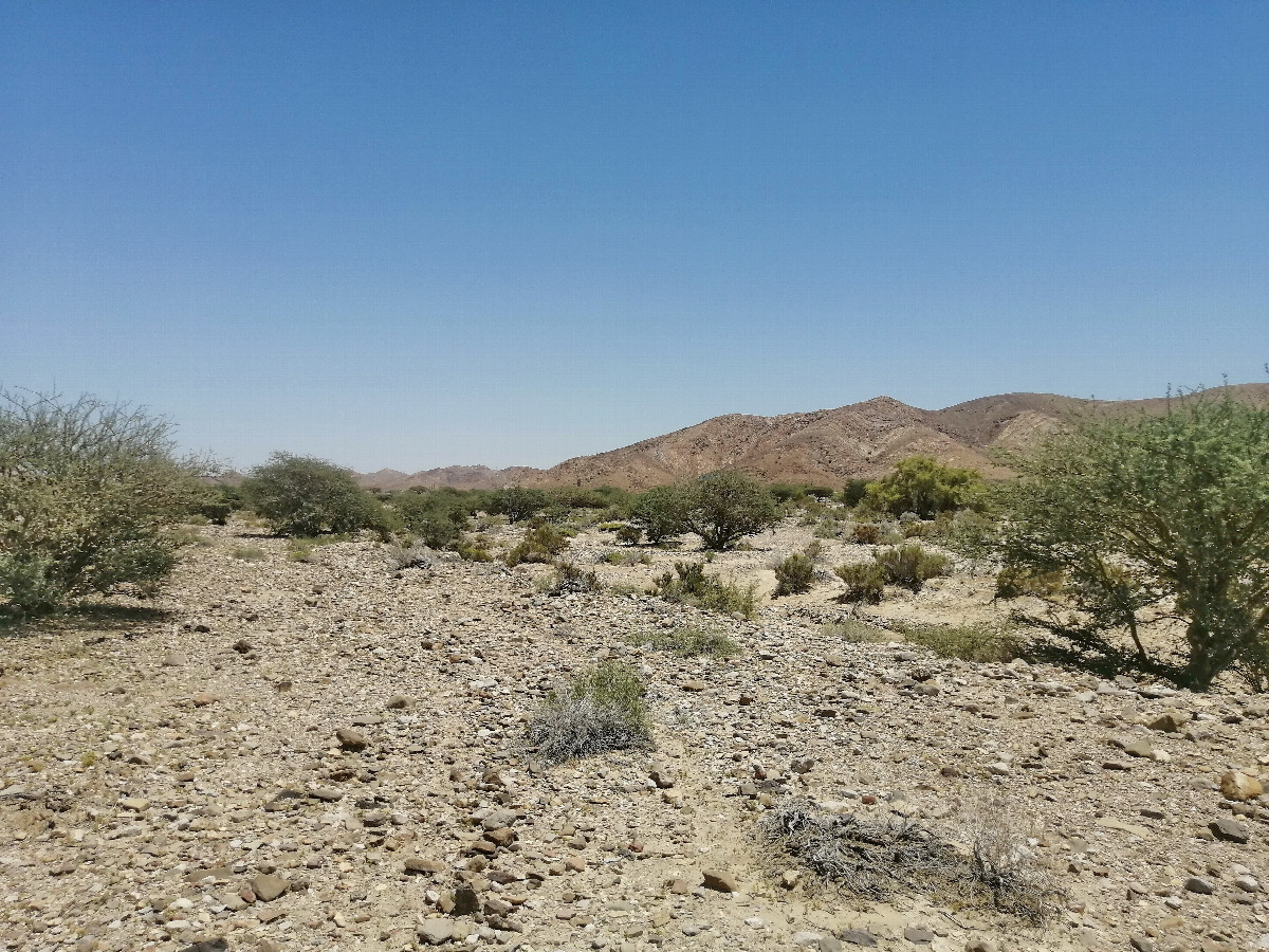 DCP: 23 degrees north, 57 degrees east (visit #7) - Picture #4