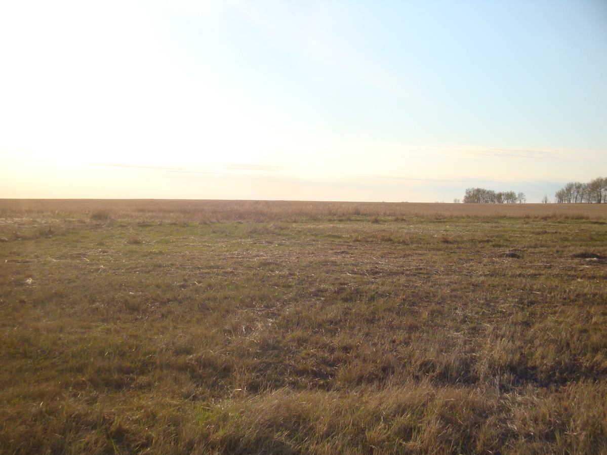 DCP: 53 degrees north, 81 degrees east (visit #2) - All Pictures