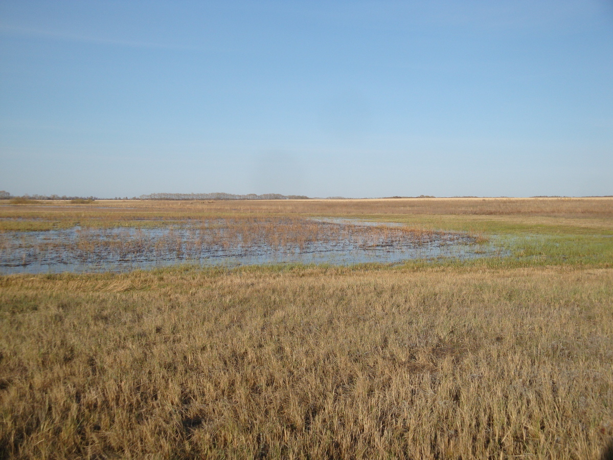 DCP: 53 degrees north, 81 degrees east (visit #2) - All Pictures
