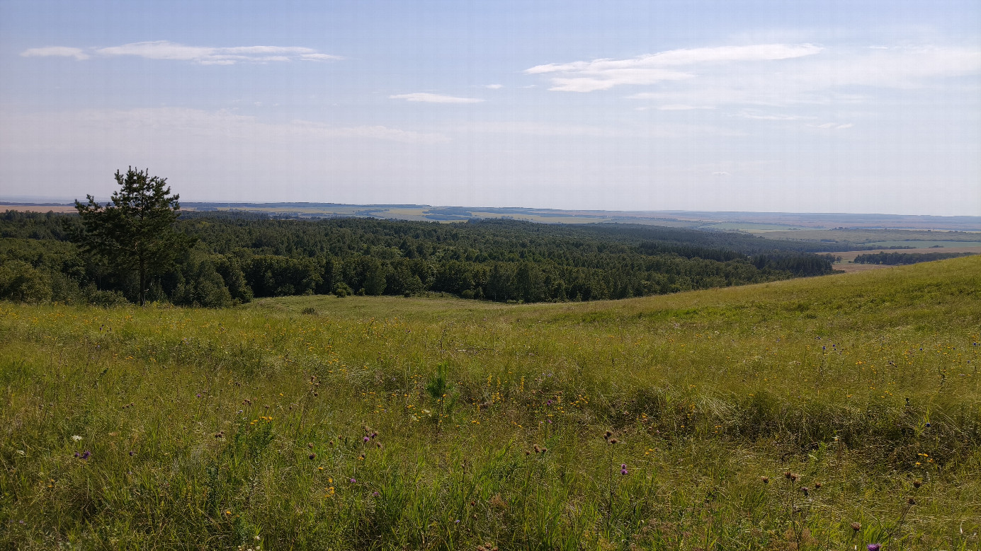 DCP: 54 degrees north, 51 degrees east (visit #4) - Picture #9