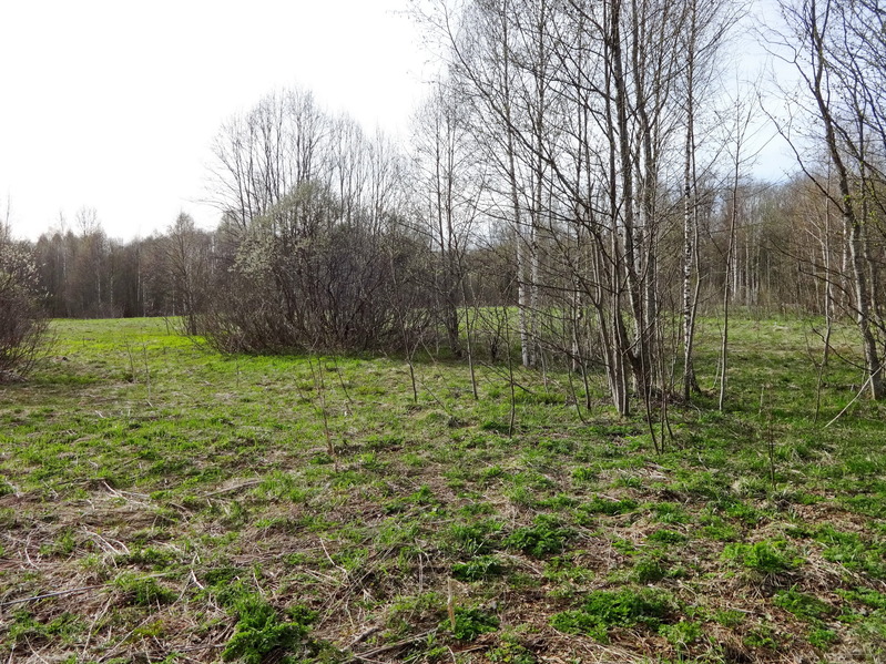 DCP: 56 degrees north, 34 degrees east (visit #3) - All Pictures