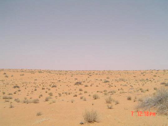 DCP: 29 degrees north, 40 degrees east (visit #1) - Picture #1