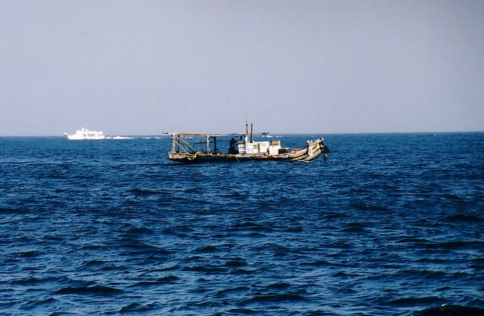 DCP: 25 degrees north, 122 degrees east (visit #2) - All Pictures