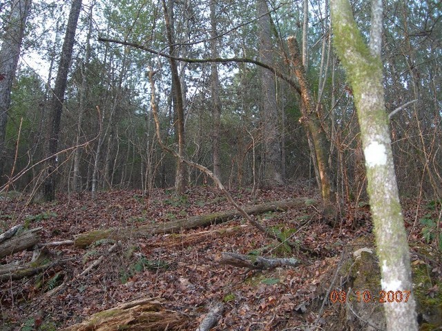 DCP: 33 degrees north, 87 degrees west (visit #2) - All Pictures