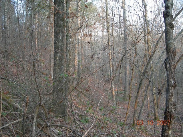 DCP: 33 degrees north, 87 degrees west (visit #2) - All Pictures