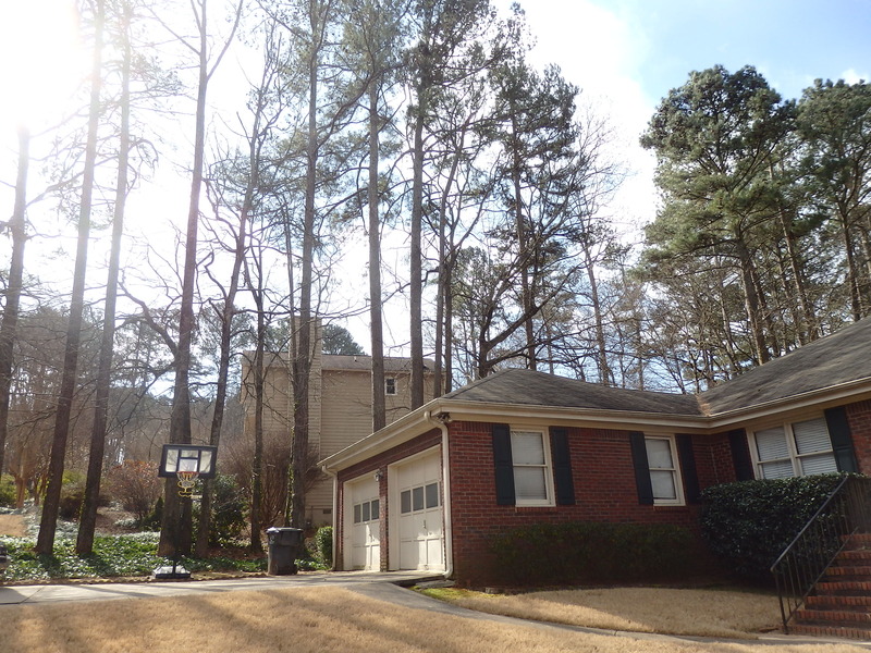 DCP: 34 degrees north, 84 degrees west (visit #9) - All Pictures