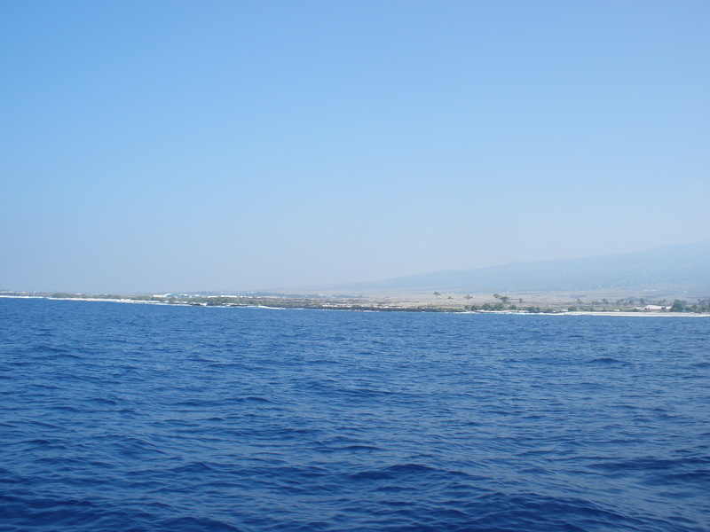 DCP: 20 degrees north, 156 degrees west (visit #1) - All Pictures