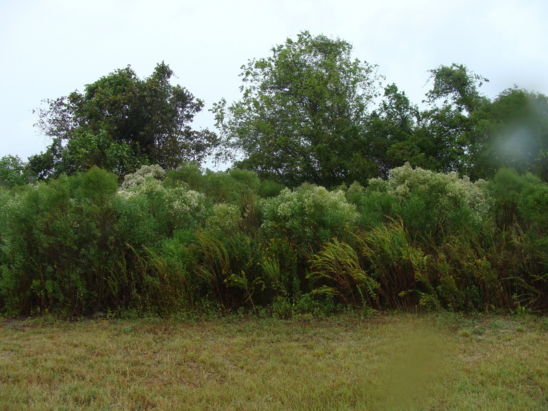 DCP: 30 degrees north, 90 degrees west (visit #6) - All Pictures