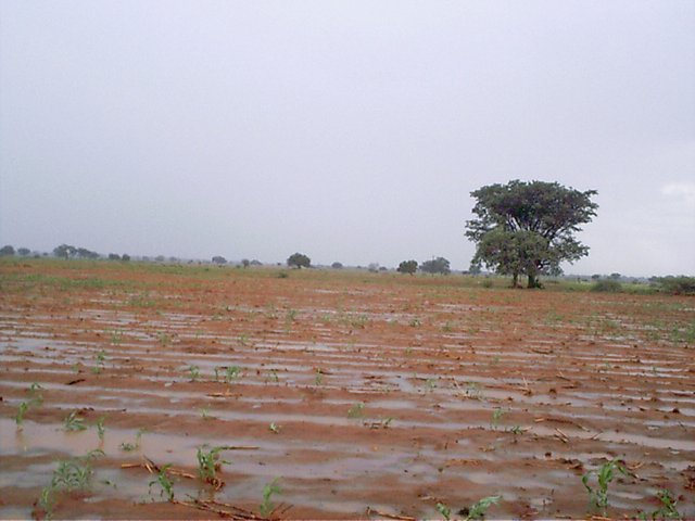 DCP: 23 degrees south, 29 degrees east (visit #2) - All Pictures